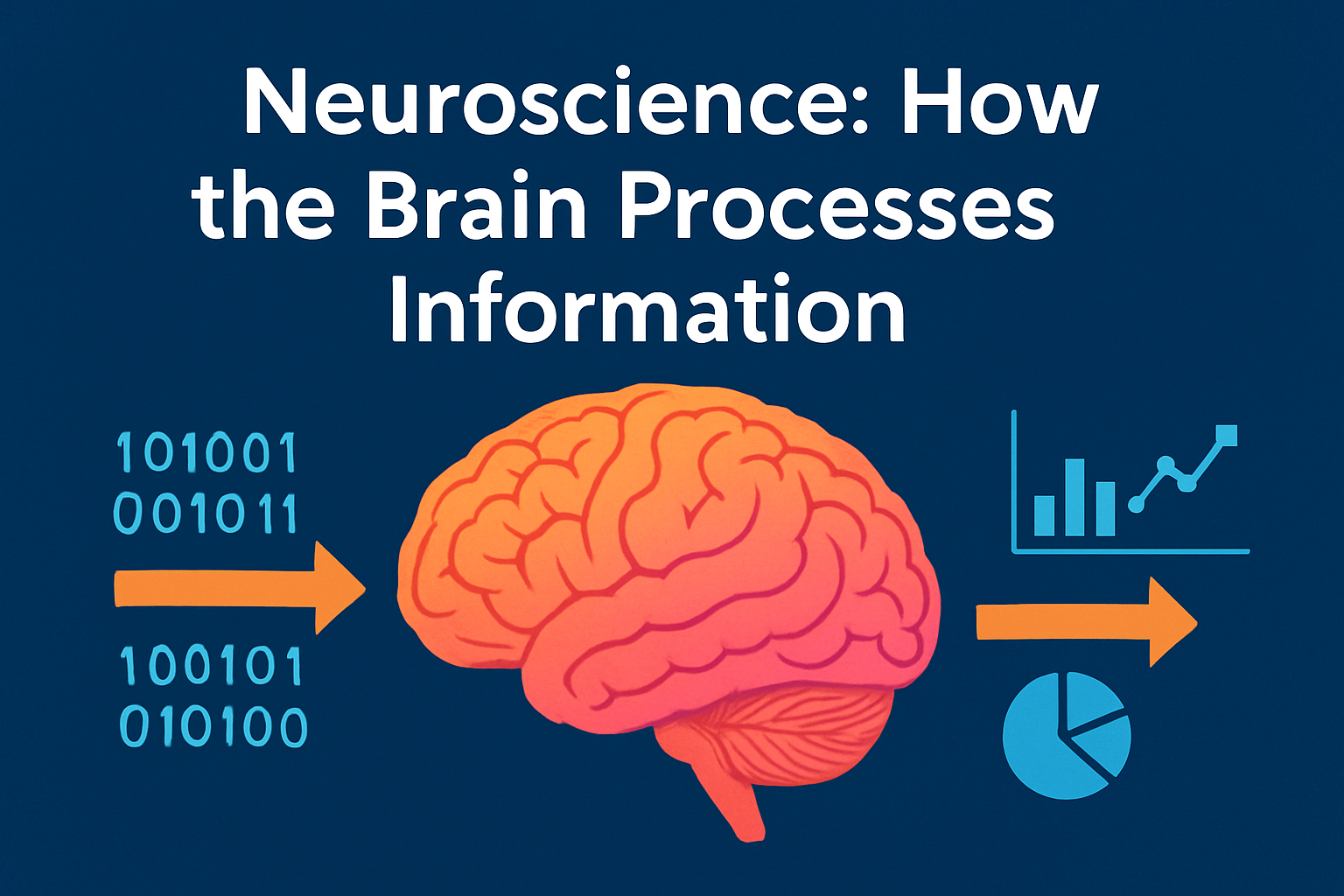 The Paradox of Human Thought: Why Your Brain Processes Just 10 Bits Per ...